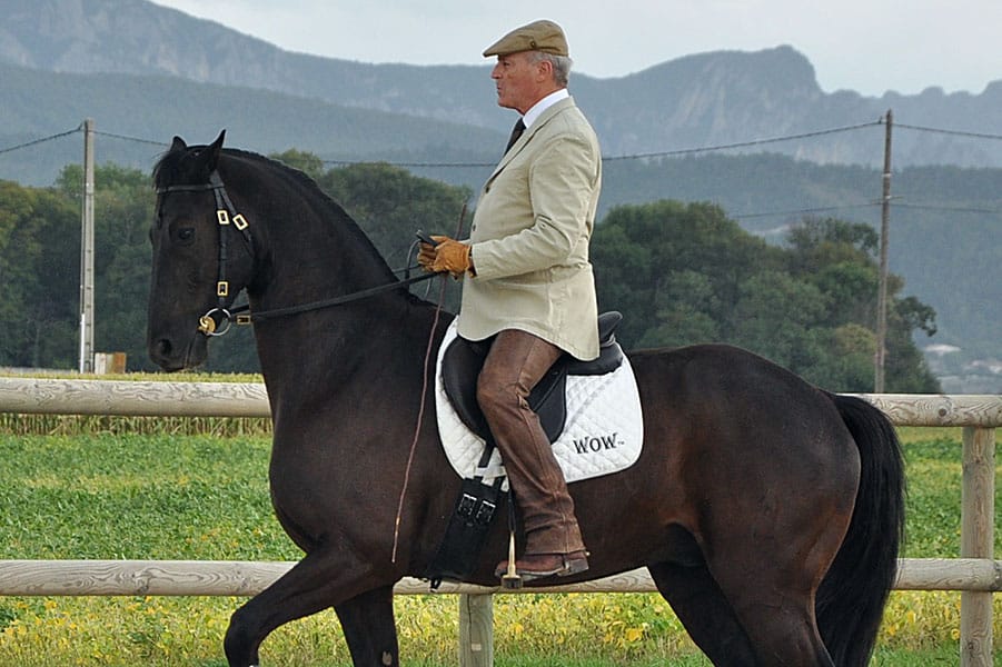 Школа Филиппа Карла Légèreté